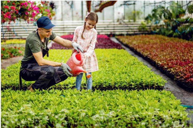 How do I Start the Garden Design Process? - itechfy