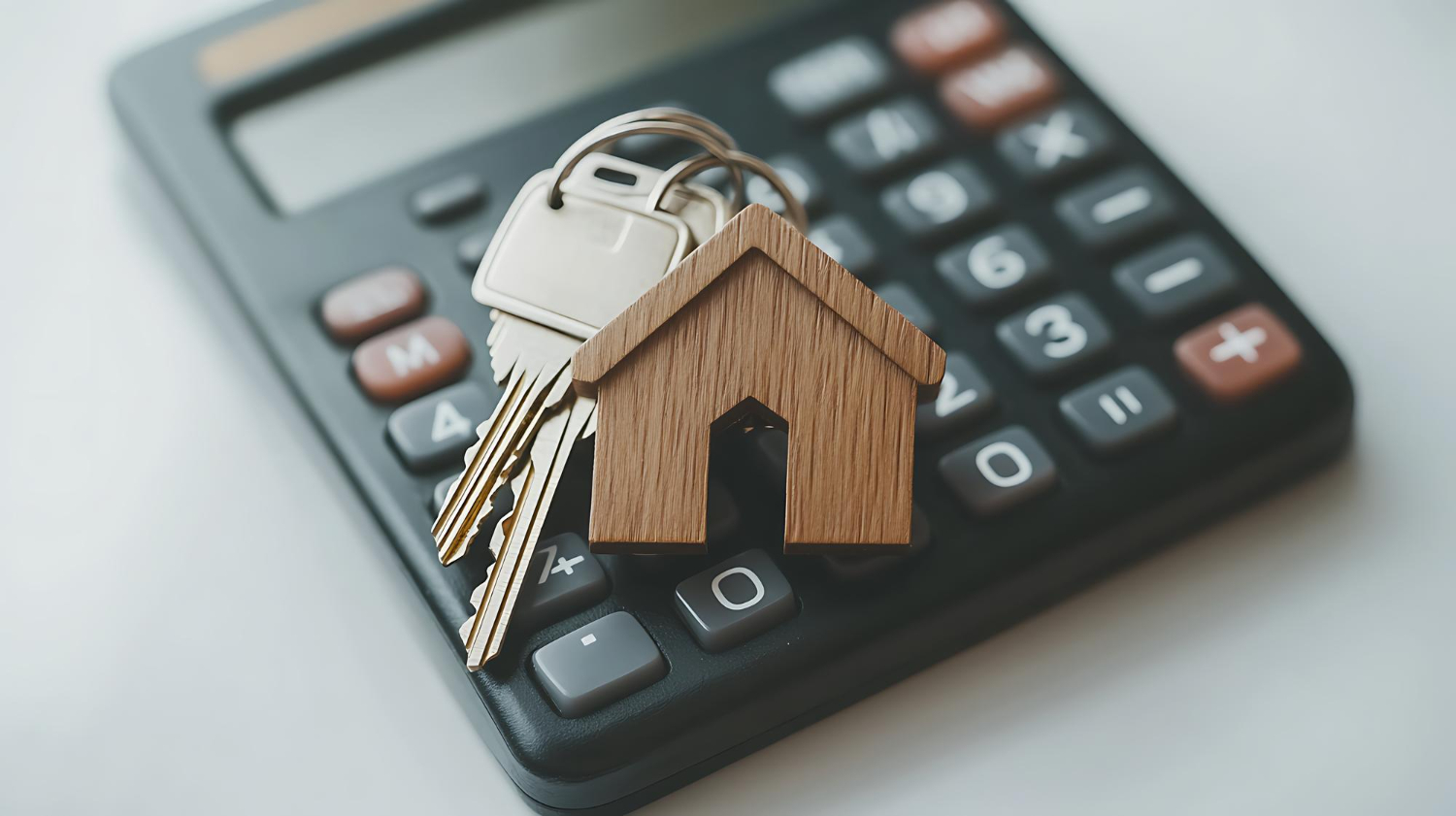 The Advantages and Disadvantages of Guaranteed Rent Schemes for ...