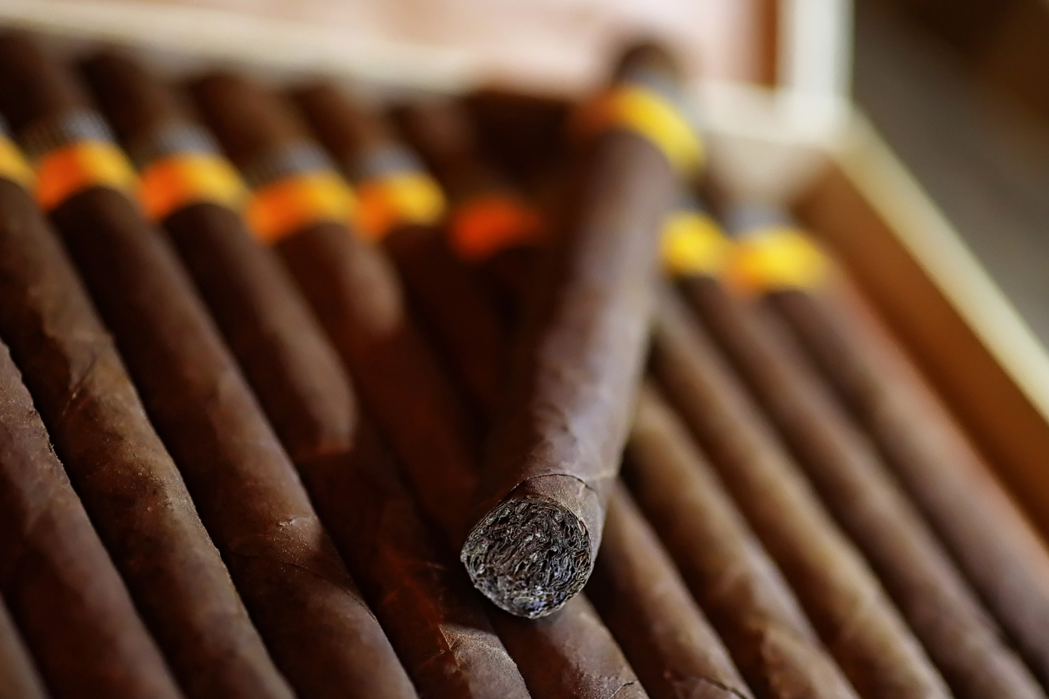 The Art of Choosing a Cuban Cigar: A Descriptive Guide - itechfy