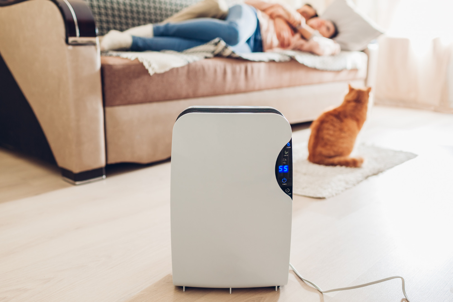 How Advances in Robotics Are Influencing Air Purifier Design - itechfy