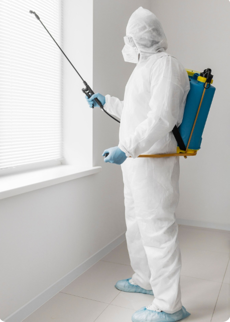 Pest Control in Boise: Protecting Your Home from Idaho's Toughest Pests ...