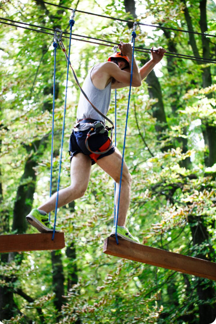 Zip Line Jaco: More Than a Flight Through the Trees - itechfy