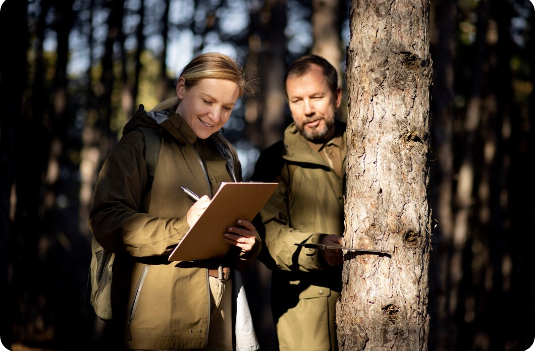 Strategies for Tracking and Stalking Deer - itechfy