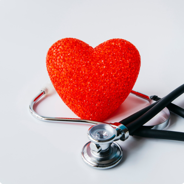 Cardiology and Heart Health Essentials - itechfy